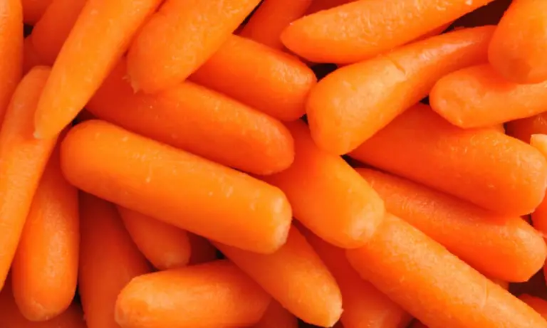 How to Store Baby Carrots?