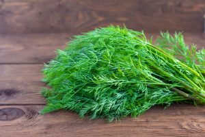 How to Freeze Fresh Dill? - Top Food Storage Reviews