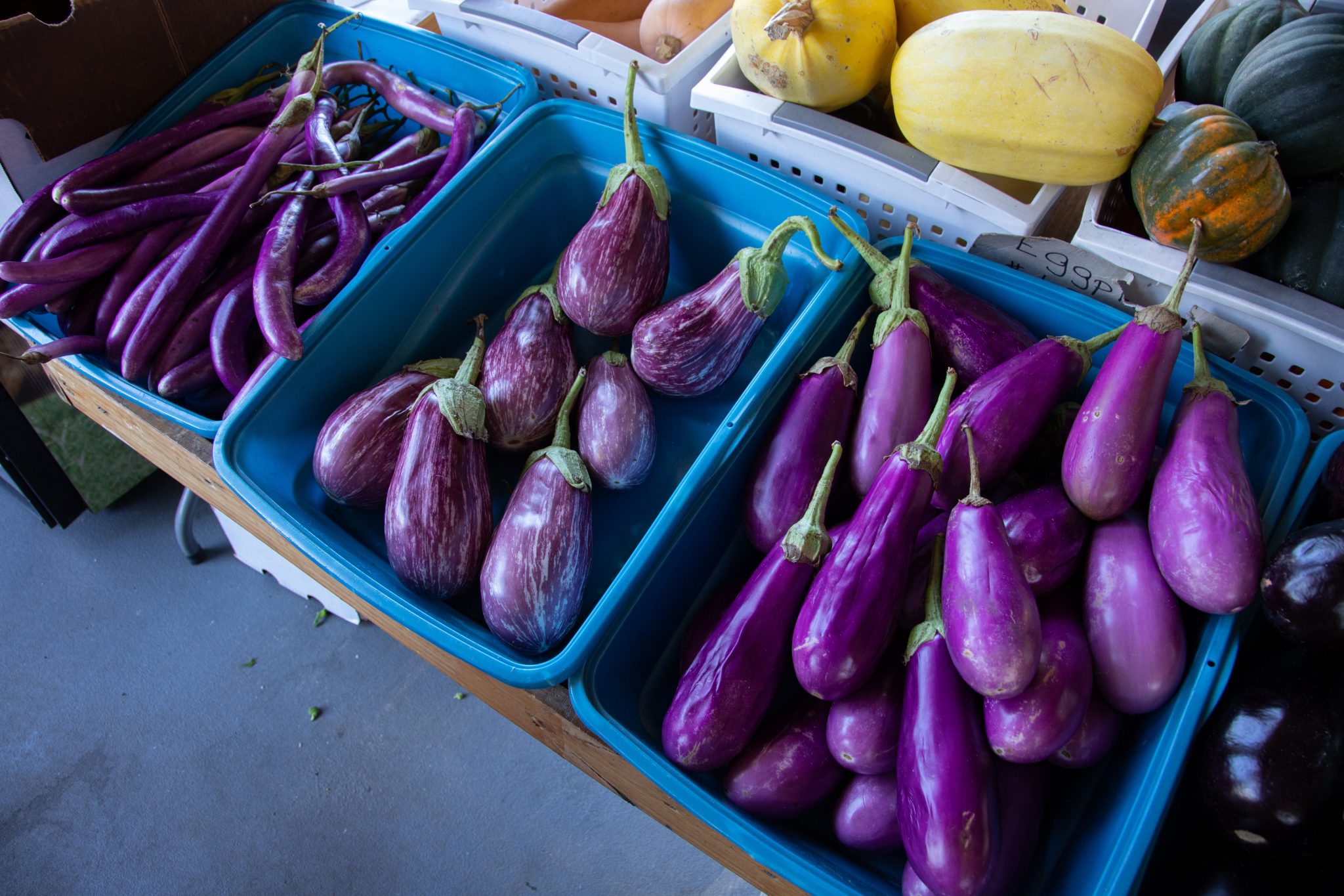 How can you Freeze Eggplant?