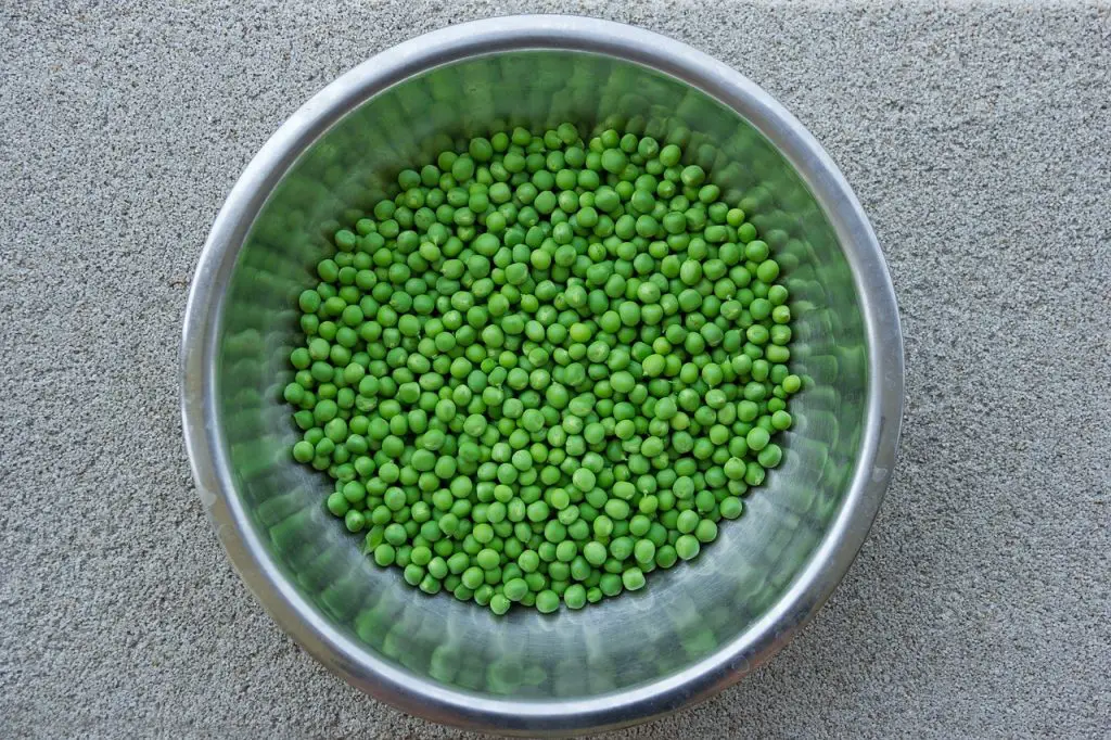How to Freeze Fresh Peas? - Top Food Storage Reviews